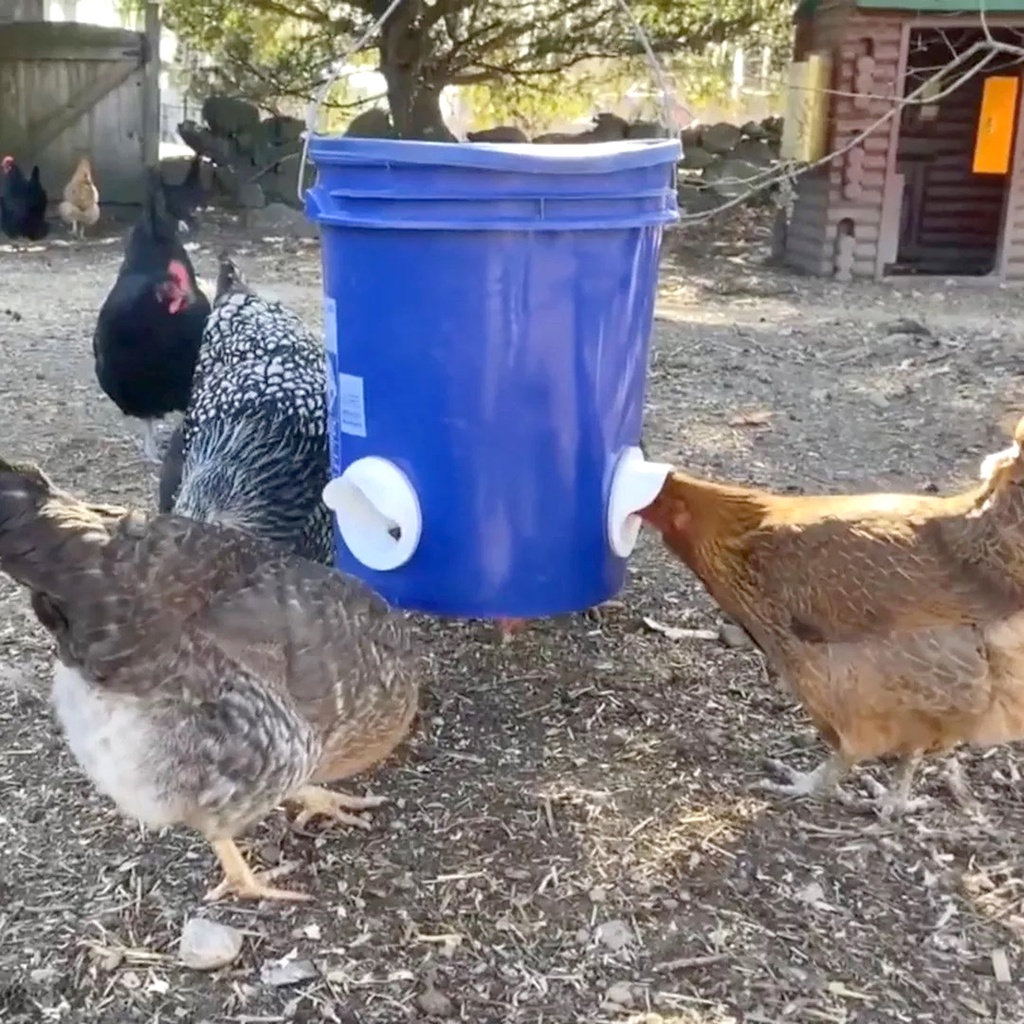 Chicken Feeder Set Poultry Feeding Supplies DIY Rain Proof Poultry ...