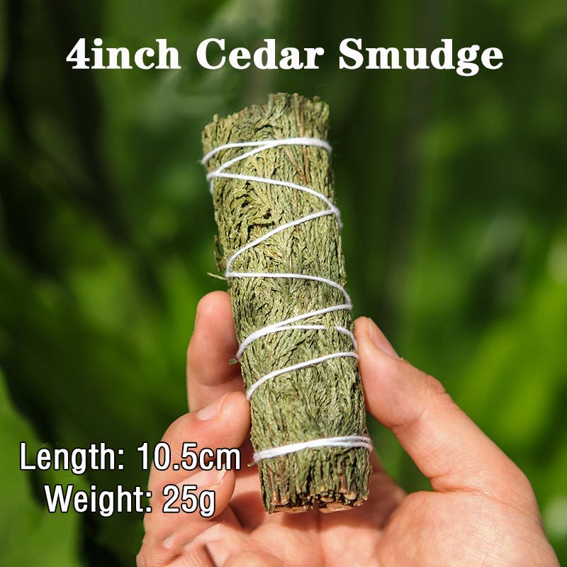 White Sage Smudge Stick Sustainably Harvested (Natural Incense, Organic ...