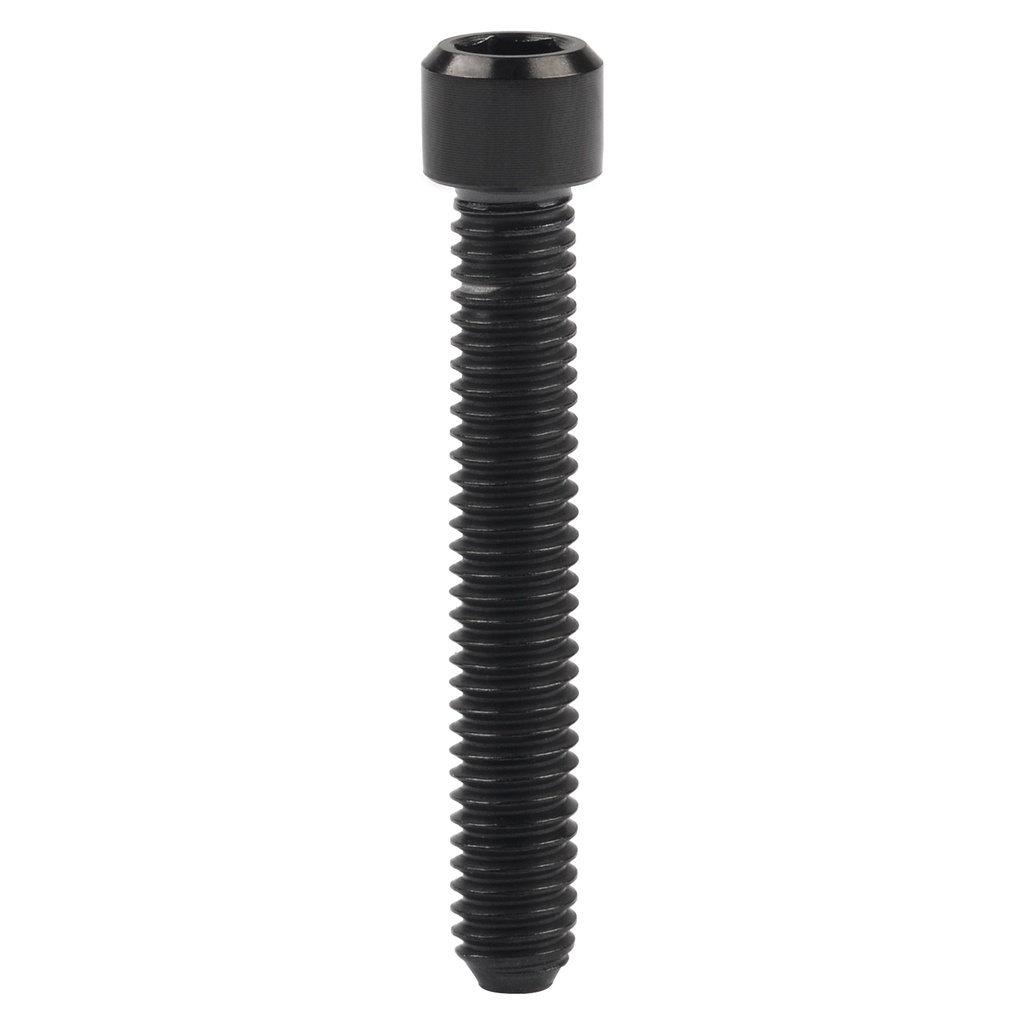 Titanium Bolt M4 Allen Small Head Screw For Bike Rear/Front Derailment ...