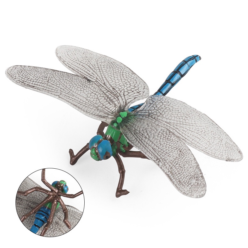 simulation insect dragonfly animal model Kids science education ...