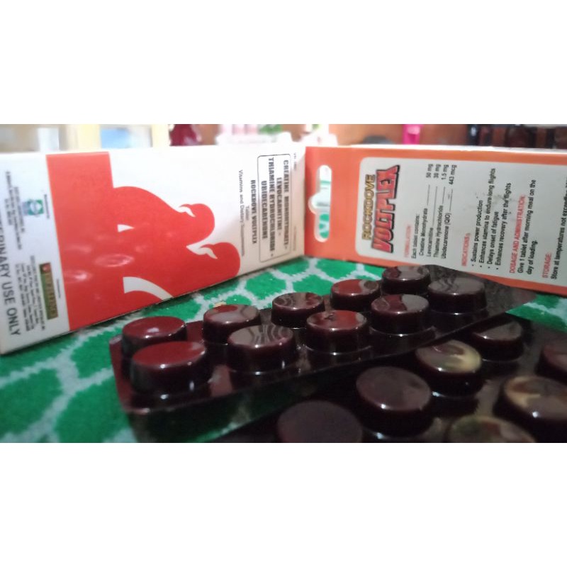 VOLTPLEX (The 3 in 1 Energy Formula for Racing Pigeons)(10 tablets ...
