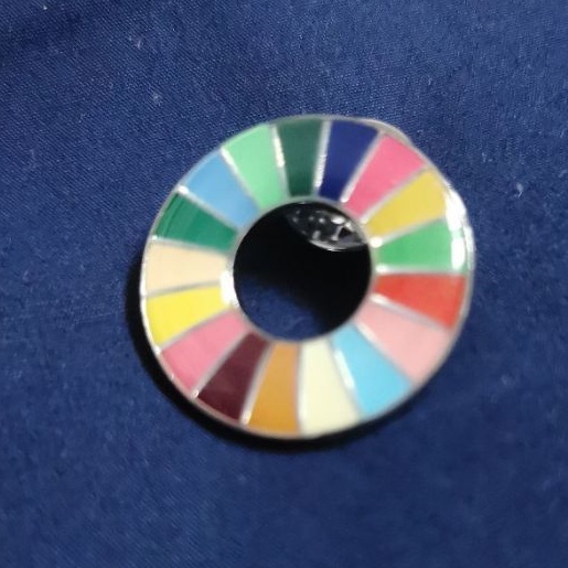 SDG pin (Sustainable Development Goals) | Shopee Philippines