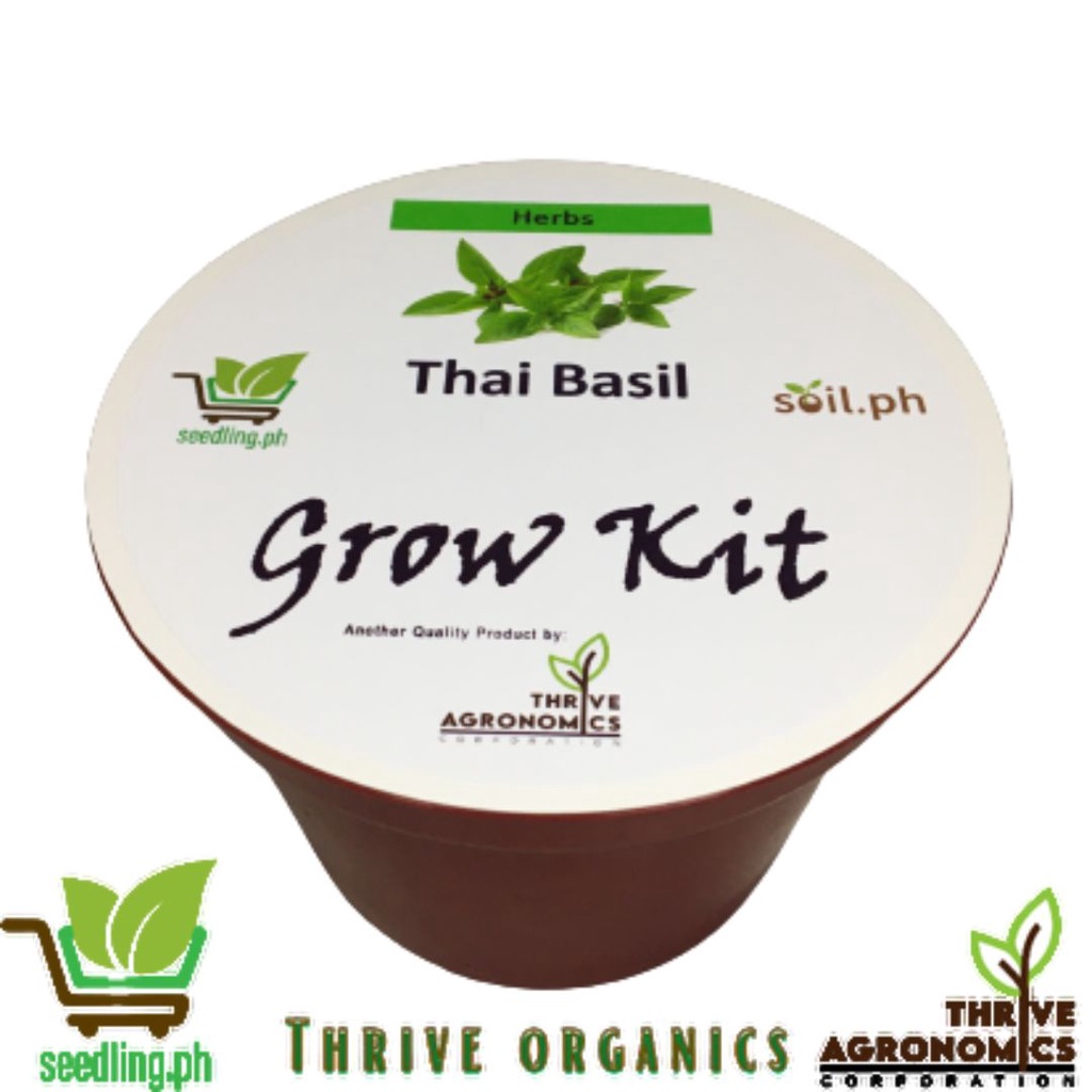 Thai Basil Herbs Grow Kit Herb Seedling Kit Starter Kit Planting Kit ...