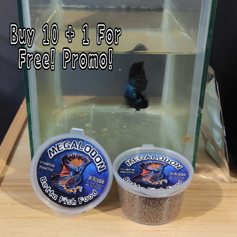 Megalodon Premium Betta Fish Food (High Protein 10 Grams) For All Types ...