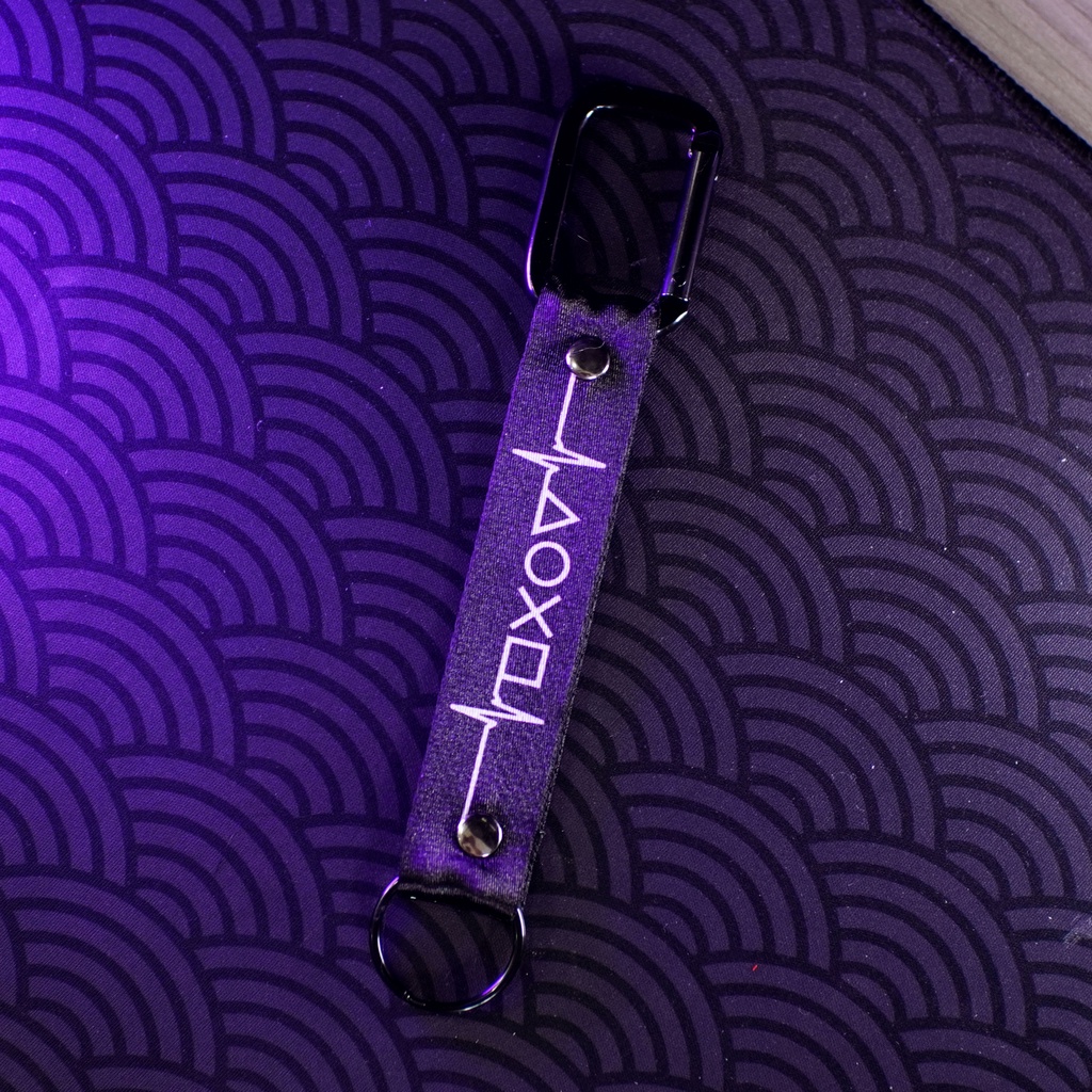 Playstation / Nintendo Swich Keychain Carabiner key holder with Logo ...