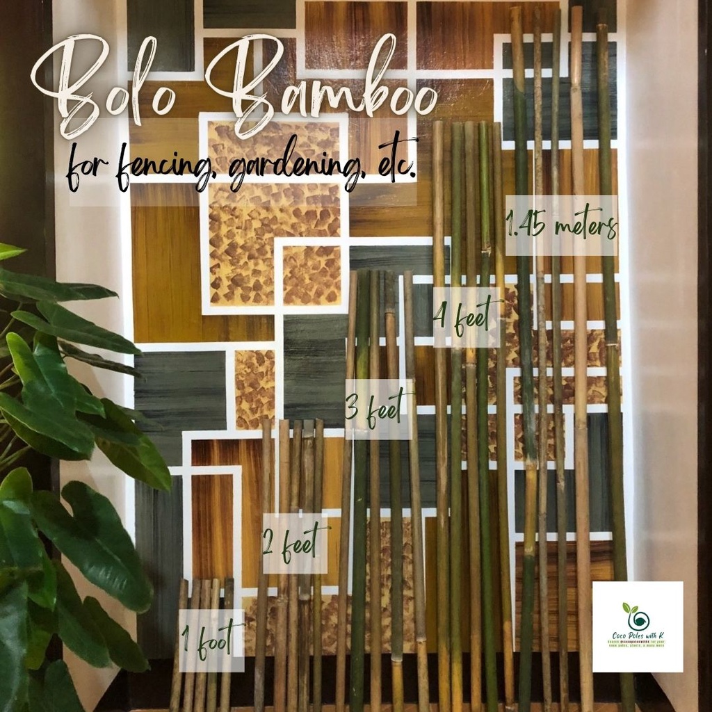 Bamboo Stick (5 PIECES) diameter, Bolo Sticks, Plant Support, Plant ...