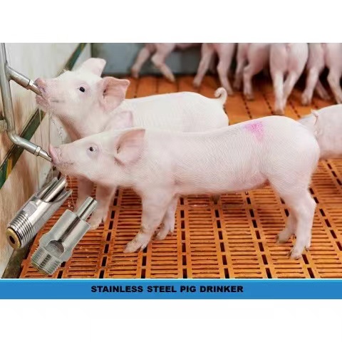 10pcs 1/2" Stainless Steel Pig Nipple Water Drinker Stainless Steel ...