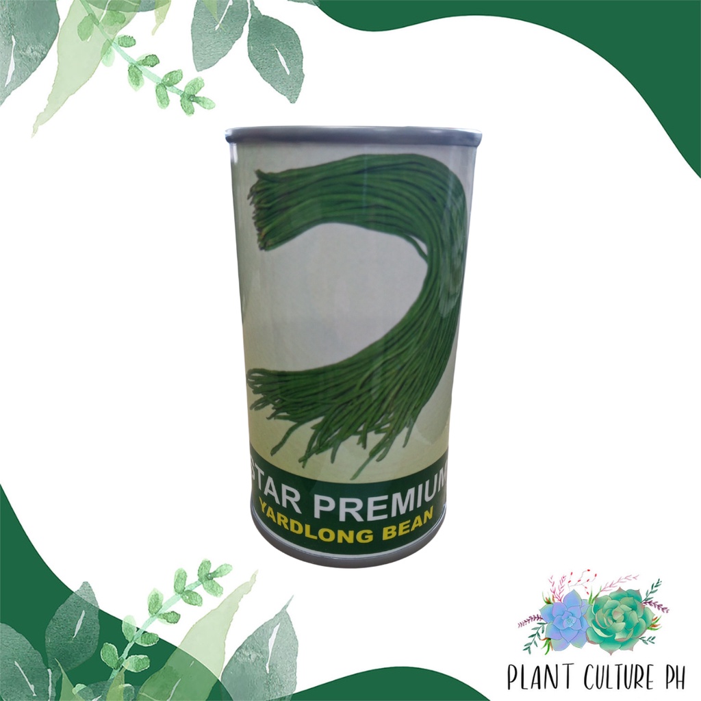 Condor Quality Seeds Sitao Star Premium Yardlong Bean 450 Approximate ...