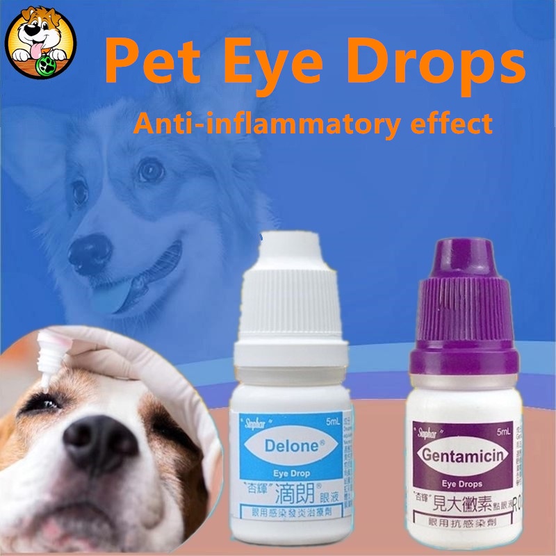 Sinphar 5ml Gentamicin and Delone Dog Eye Drops Cat Eye Drops Pet Eye ...
