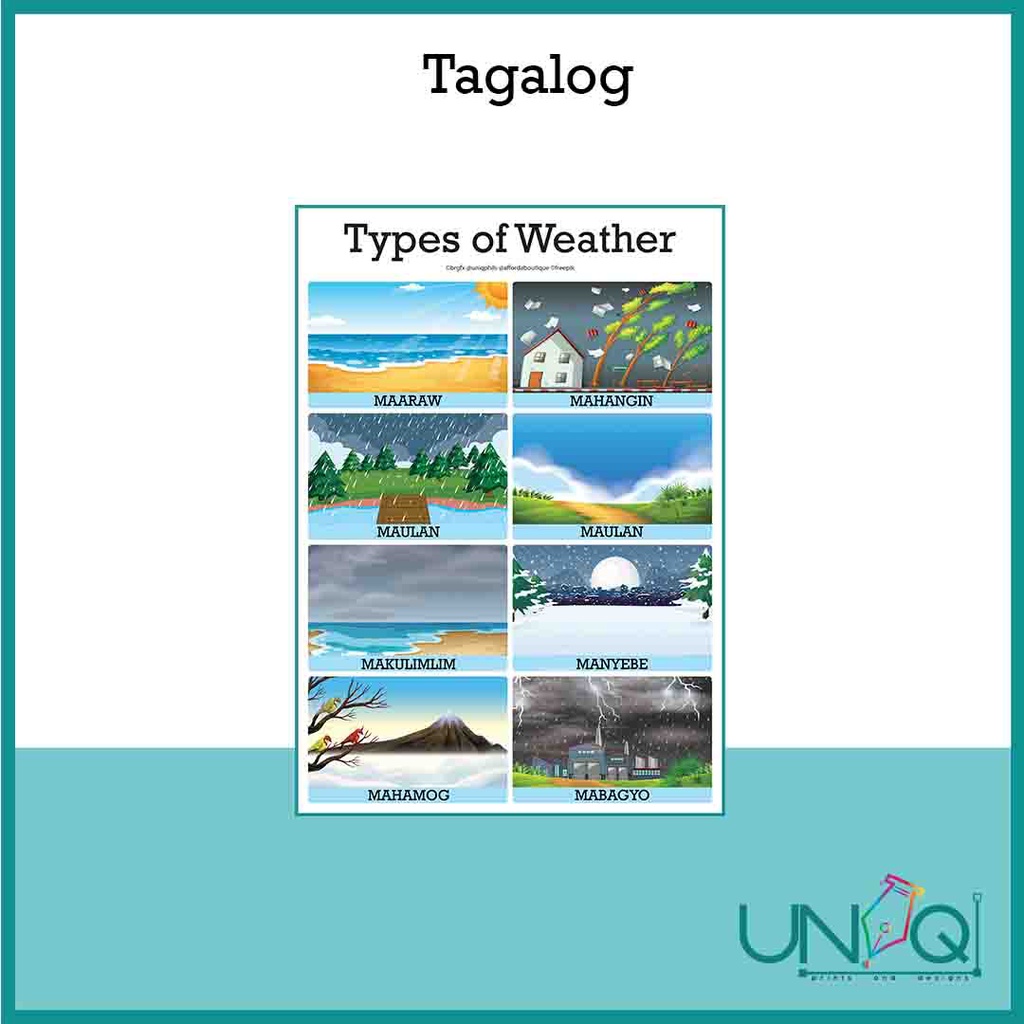 UNIQ Types of Weather English and Tagalog Laminated Educational Wall ...