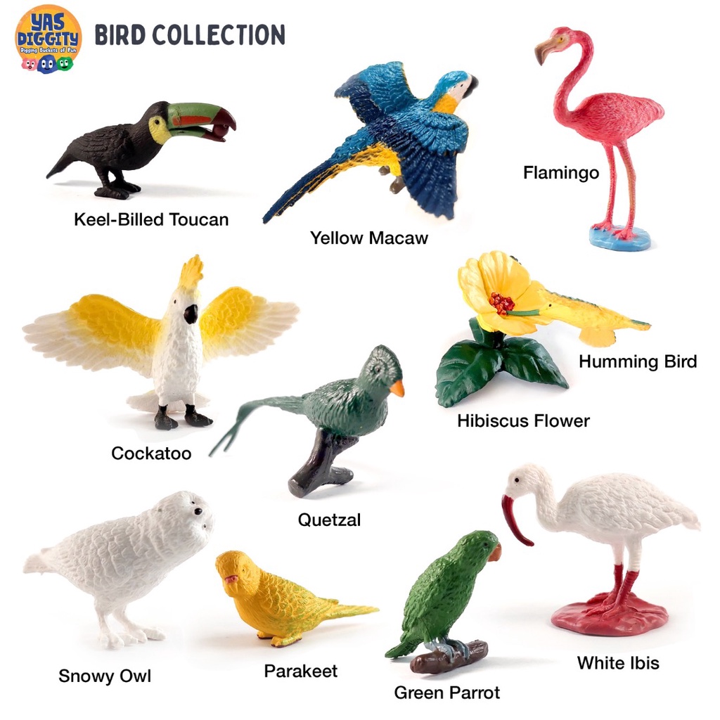 EXOTIC BIRDS TOYS - 10 Exotic Bird minifigures for educational play ...
