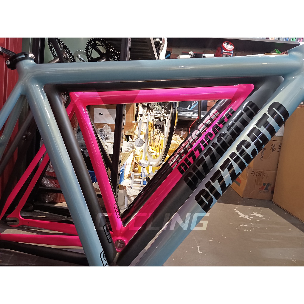 PIZZ Pizzicato T1 Track Frame Set | Shopee Philippines