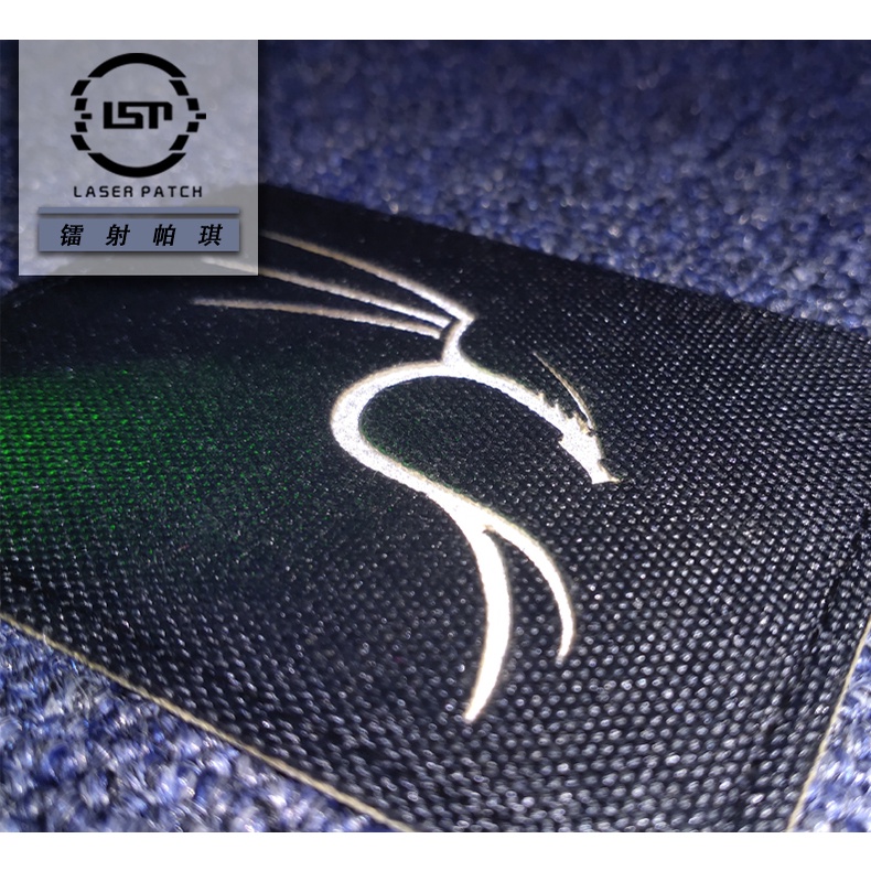 【Customized】 Dragon Reflective 3D Velcro Patch /Badges/armband/Emblem ...