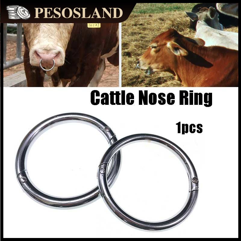 1Pcs Stainless Steel Nose Ring For Cow Cattle Big Cattle Nose Ring ...