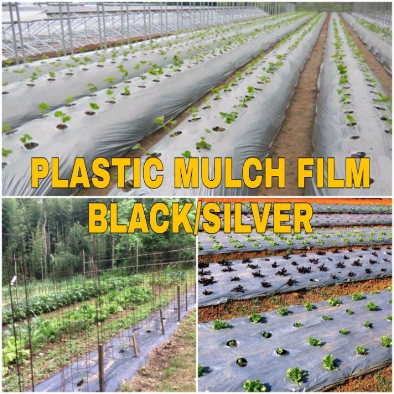 Plastic Mulch Film BLACK/SILVER,agriculture film vegetable planting ...
