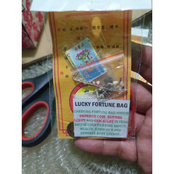 Lucky Fortune Bag Small | Shopee Philippines