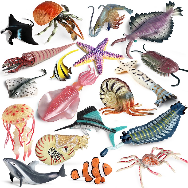 Sea Life Animals Anomalocaris Opabinia Starfish Crab Nautilus Shrimp ...