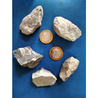 KALBURO CALBURO KALBORO CALBORO CARBIDE (SOLD PER 1/2 KILO) | Shopee ...