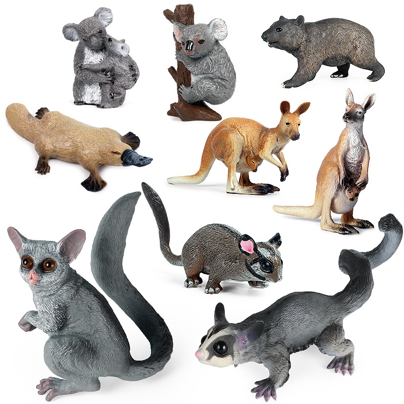 Australian Wild Animals Simulation Kangaroos Koala Wombat Model Action ...