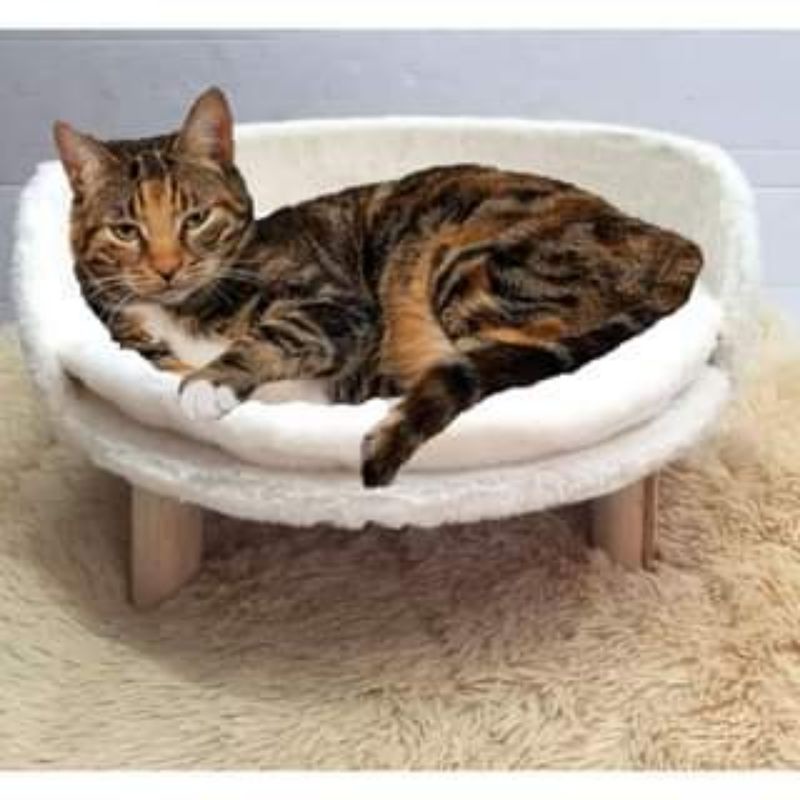 Cat Bench Wooden Furniture Sofa, Bed Luxury for your Cats | Shopee ...