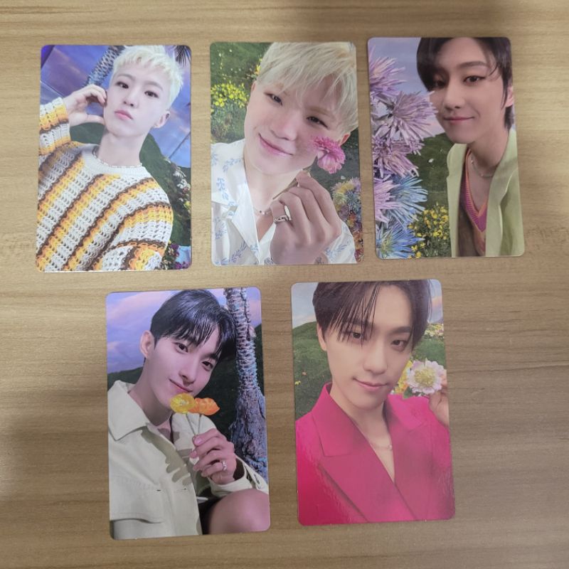 SEVENTEEN Repackaged Album Sector 17 Photocards | Shopee Philippines