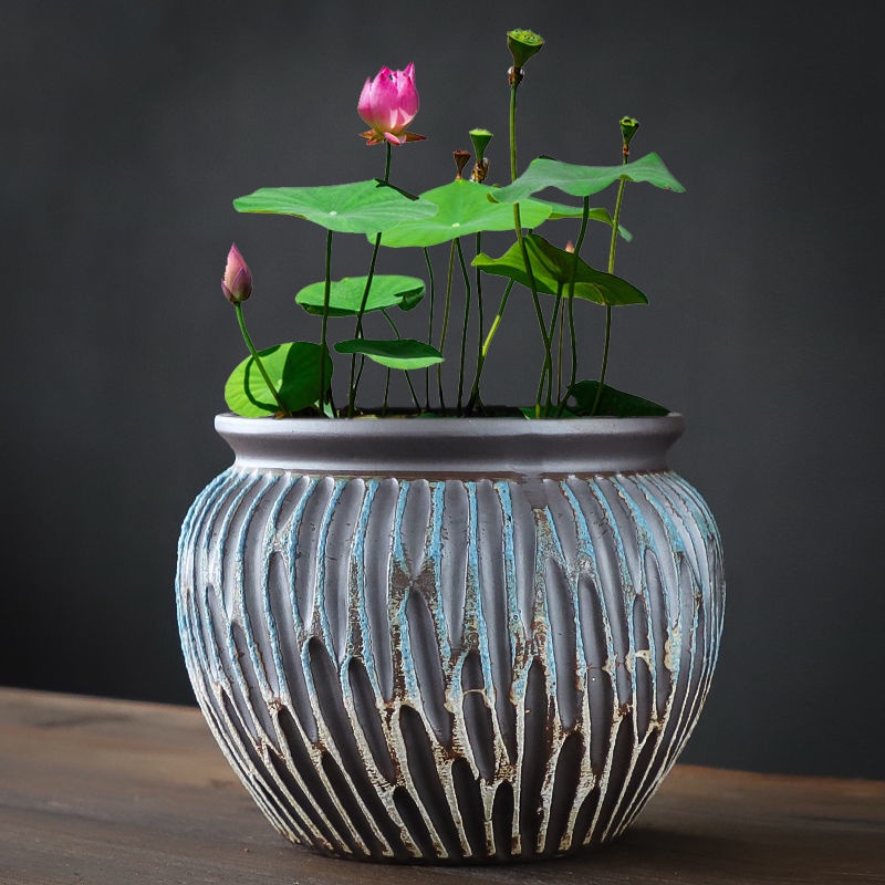 Lotus Tank Lotus Special Ceramic Hydroponic Hydrocotyle Flower Pot Non ...