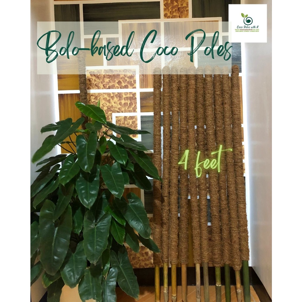 Coco Pole, Plant Stick Bamboo, Plant Support | Shopee Philippines