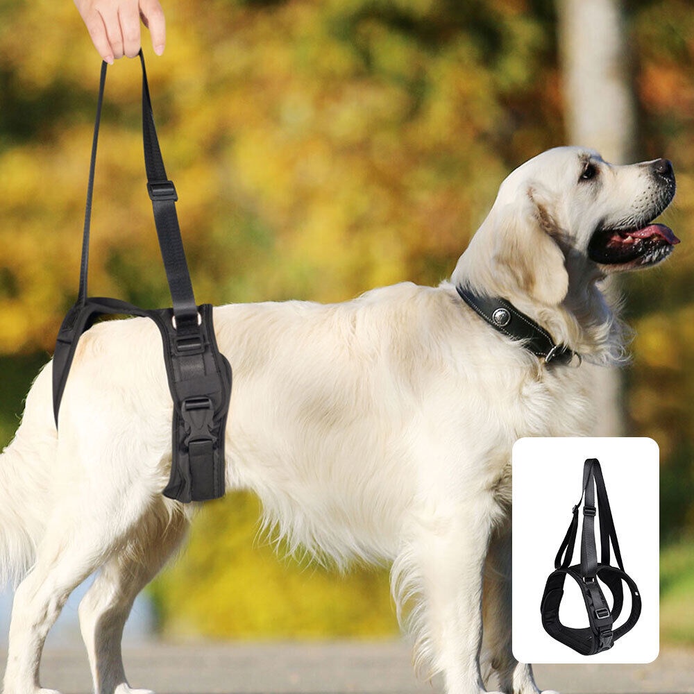 Dog Support & Rehabilitation Harness Rehab Lifting Canines Harness Hind ...