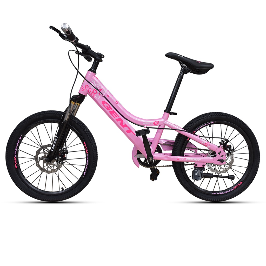 Japan Mountain Bike 20" Cross-Country Adult Bicycle Color Steel Frame ...