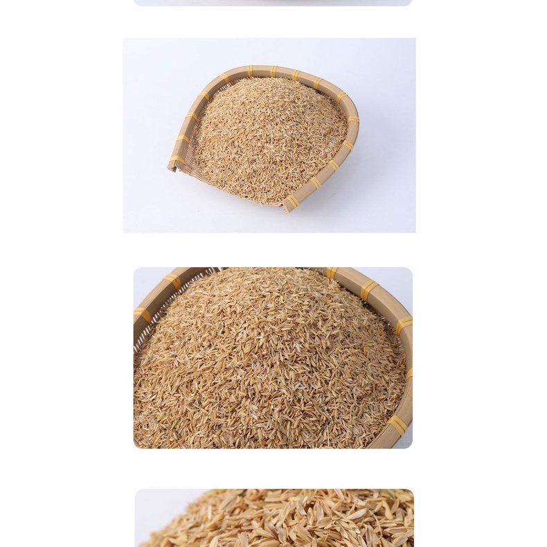 Rice Husk Rice Husk Health Care Pillow Fresh Rice Bran Husk Rice Bran ...