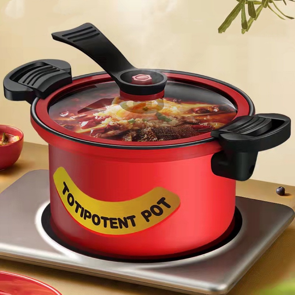 Micro Pressure Cooker Household Explosion Proof Pressure Cooker Multi ...