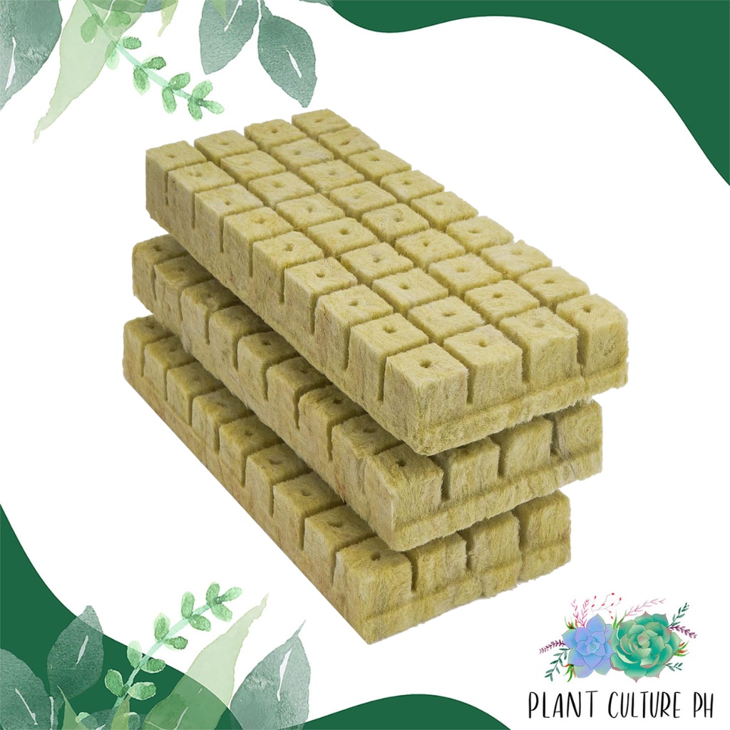 Hydroponic Rockwool Net Pot 36 cubes / 50 cubes | Shopee Philippines
