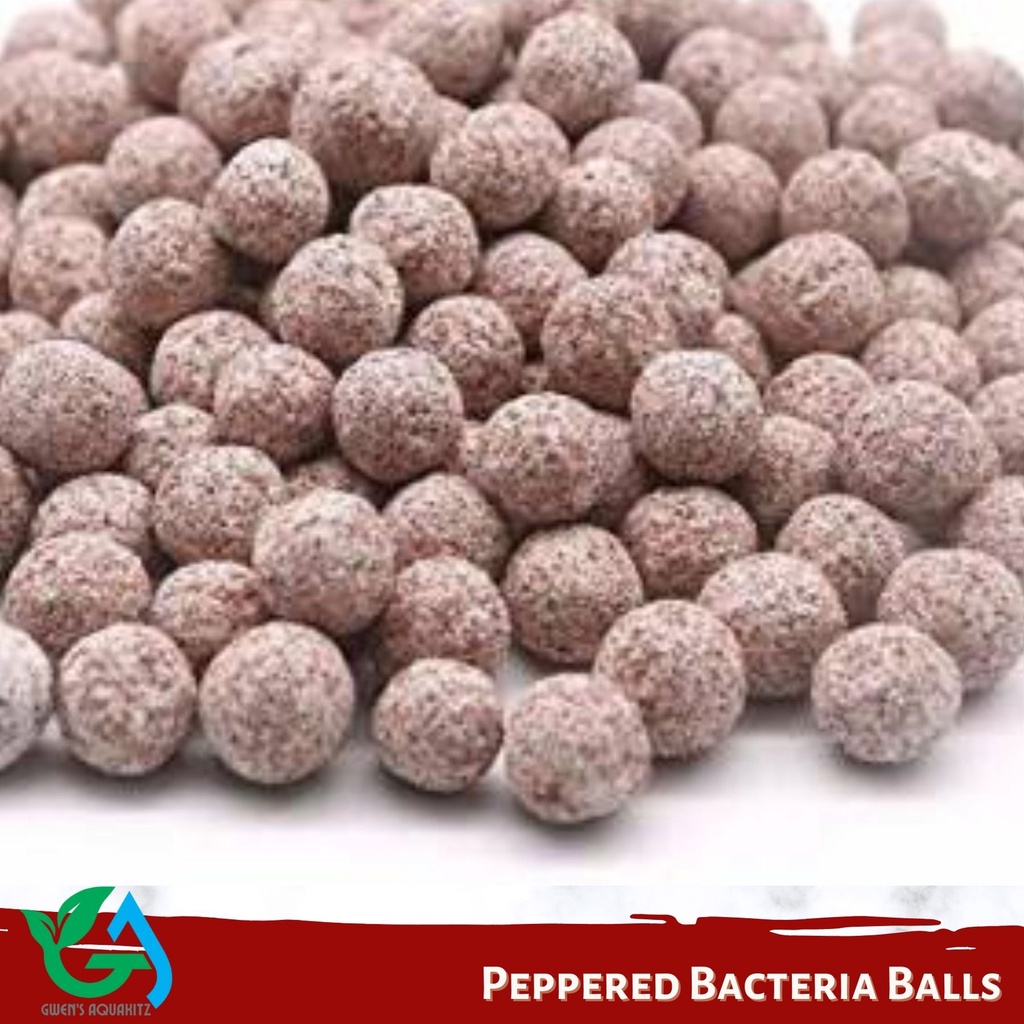 Filter Media for Aquarium[Ceramic, Lava, Porous Rings, Baki Roll ...