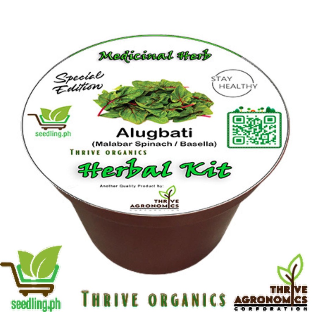 Alugbati Malabar Spinach Basella Herbal Kit Grow Kit Seedling Kit ...