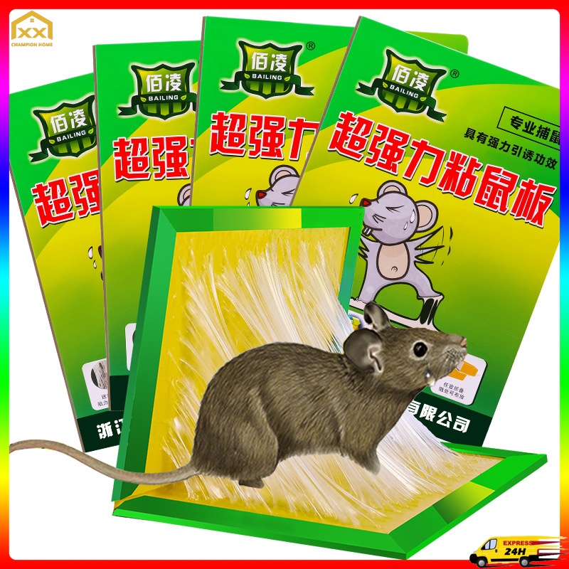 Sticky mouse board strong sticky household mouse board Glue Board Bait ...