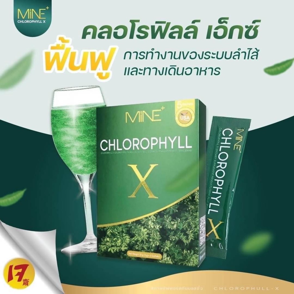 Mine chlorophyll X My Mint Detoxification In Excess Fat (1 Box Contains ...