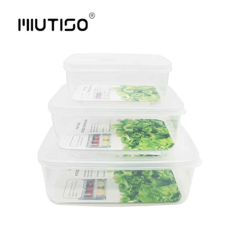 Miutiso Food Container Transparent Bento Lunch Box Reusable for Home ...
