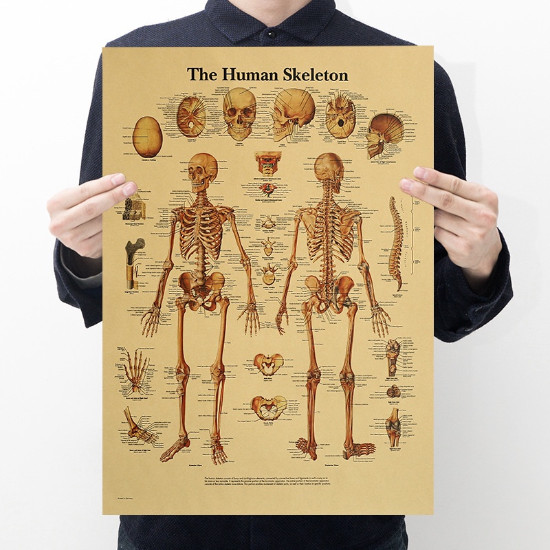 Human Explanation Picture-Bone Retro Kraft Paper Series Bar Cafe ...