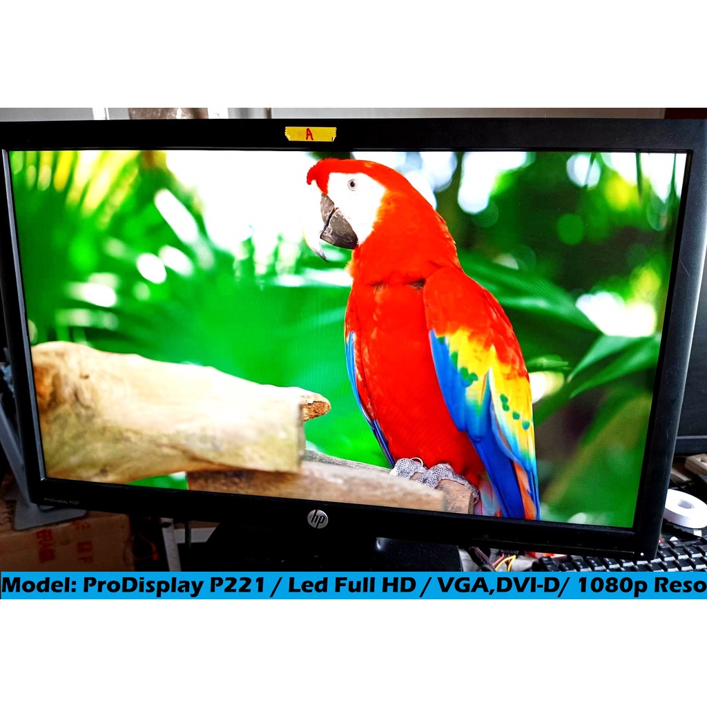 HP ProDisplay P221 21.5-inch LED Backlit Monitor with VGA and power ...