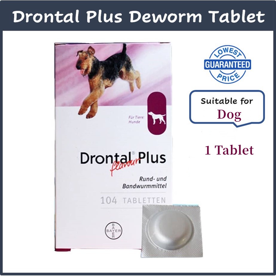 Drontal Plus Flavor for DOGS Dewormer 1 Tablet Tasty Dewormer Tablets ...