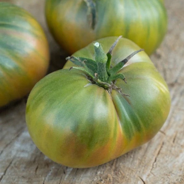 Tomato - Aunt Ruby's Green German - Tomato Seeds | Shopee Philippines