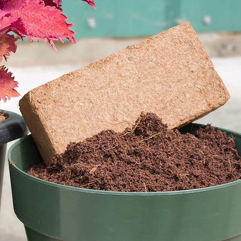 LHK 1pc (500g) Coconut Brick Soil/Coconut Peat Brick/Coco Peat ...