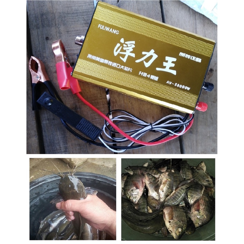 Fishing Machine Electric Inverter Fish Shocker Stunner, 12V Ultrasonic ...