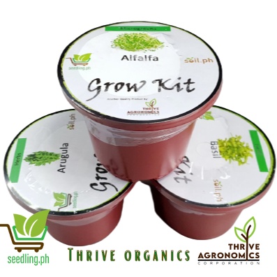 3 Sets Organic Herbs Alfalfa Arugula Basil Set 1 Grow Kit Starter Kit ...