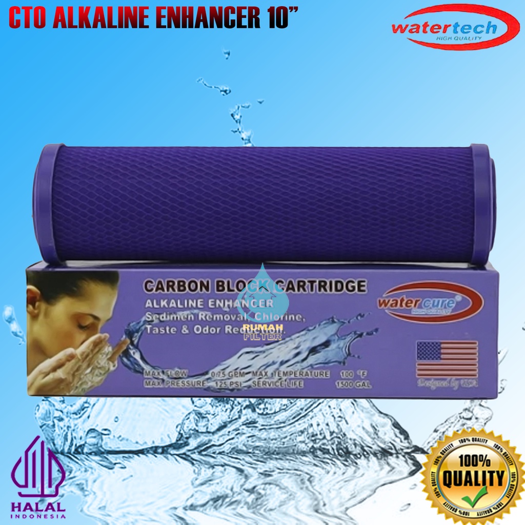 Cto CARBON Block ALKALINE ENHANCER WATERCURE 10 INCH | Shopee Philippines