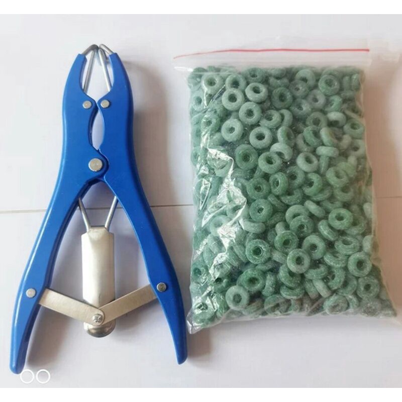 Tail docking plier and Elastration ring | Shopee Philippines