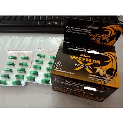 Worm X Maxx by B-meg Integra 100 capsules one box | Shopee Philippines