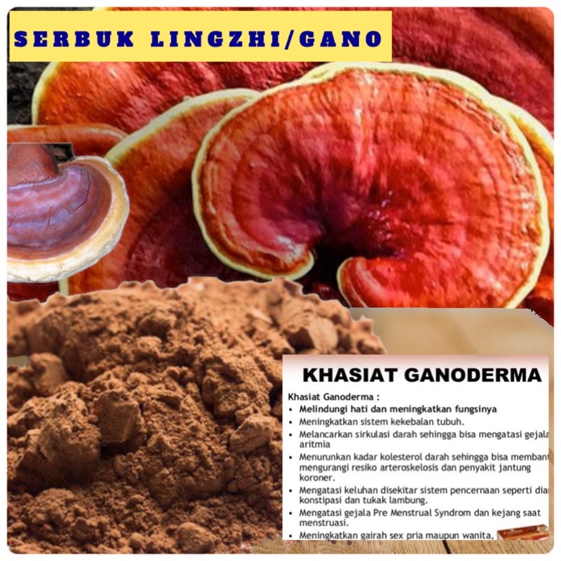 LINGZHI/GANODERMA POWDER (100gram) | Shopee Philippines
