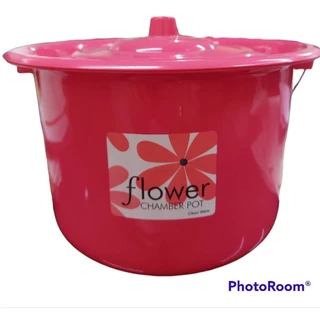 arinola - Best Prices and Online Promos - Jan 2025 | Shopee Philippines