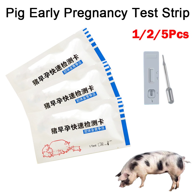 Pig Early Pregnancy Test Strip Sow Pregnancy Detection Tester Pig ...